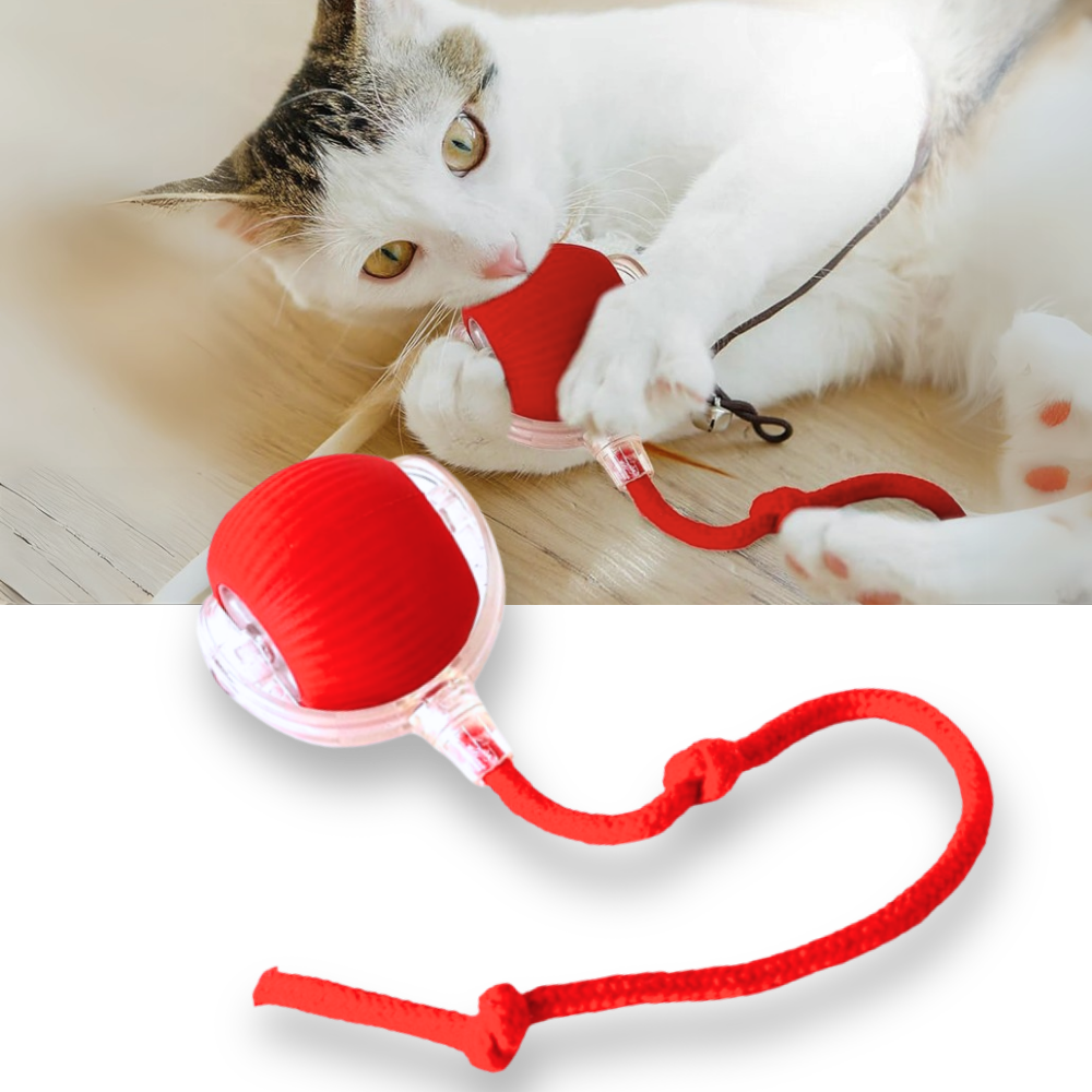 Interactive Cat Ball | Self-Rolling Ball for Cats | Electric Cat Ball Toy